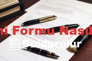 Mal Bildirimi Formu Nasıl Doldurulur - Doldurulur