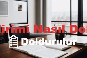 Mal Bildirimi Nasıl Doldurulur - Doldurulur