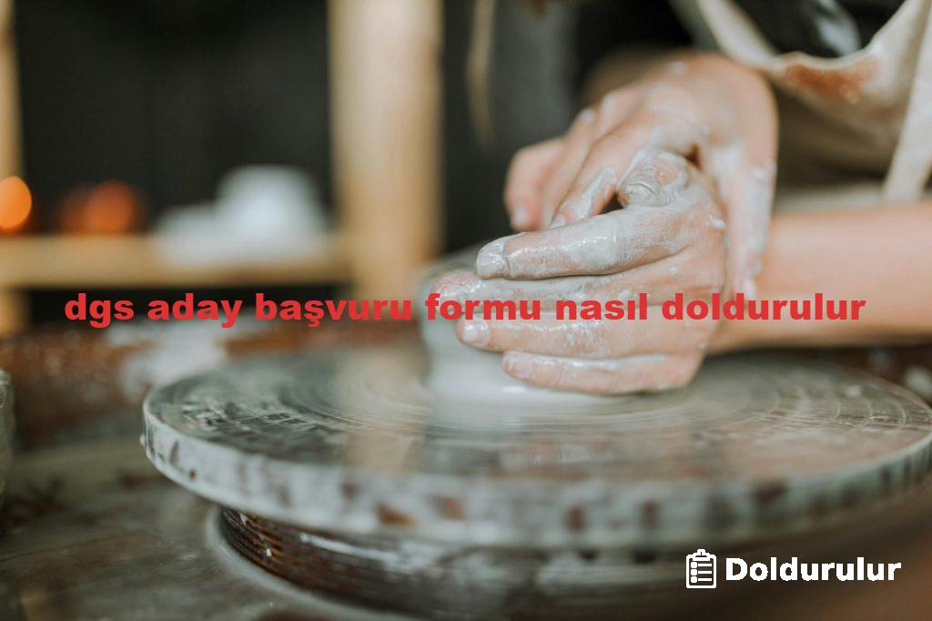 dgs aday başvuru formu nasıl doldurulur - Doldurulur